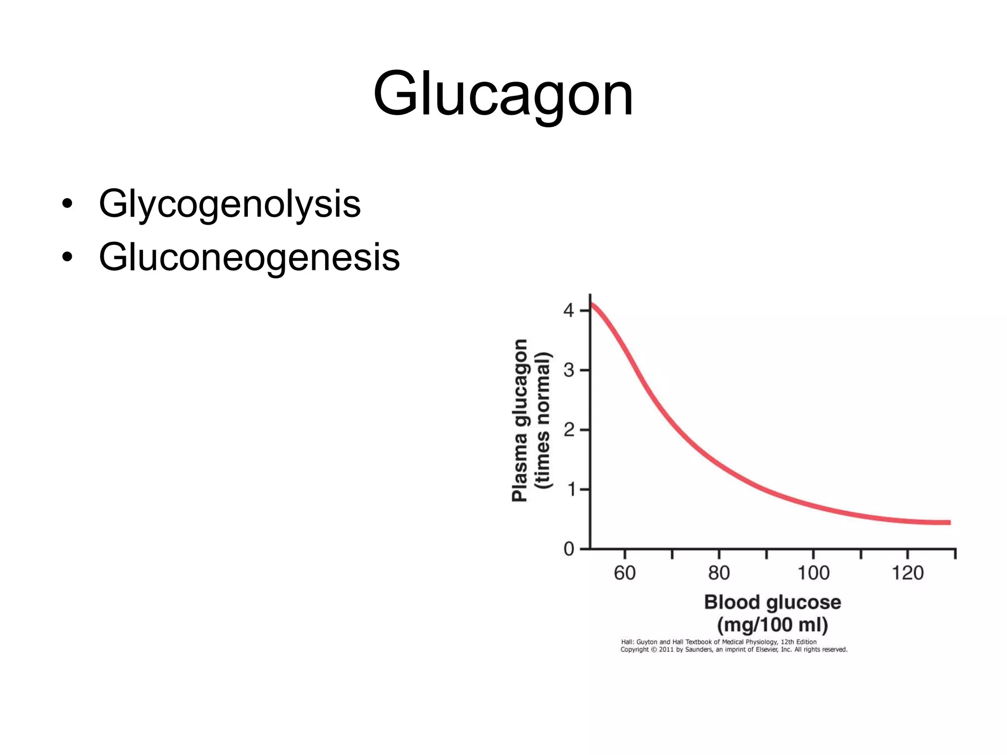 Blood glucose regulation | PPT