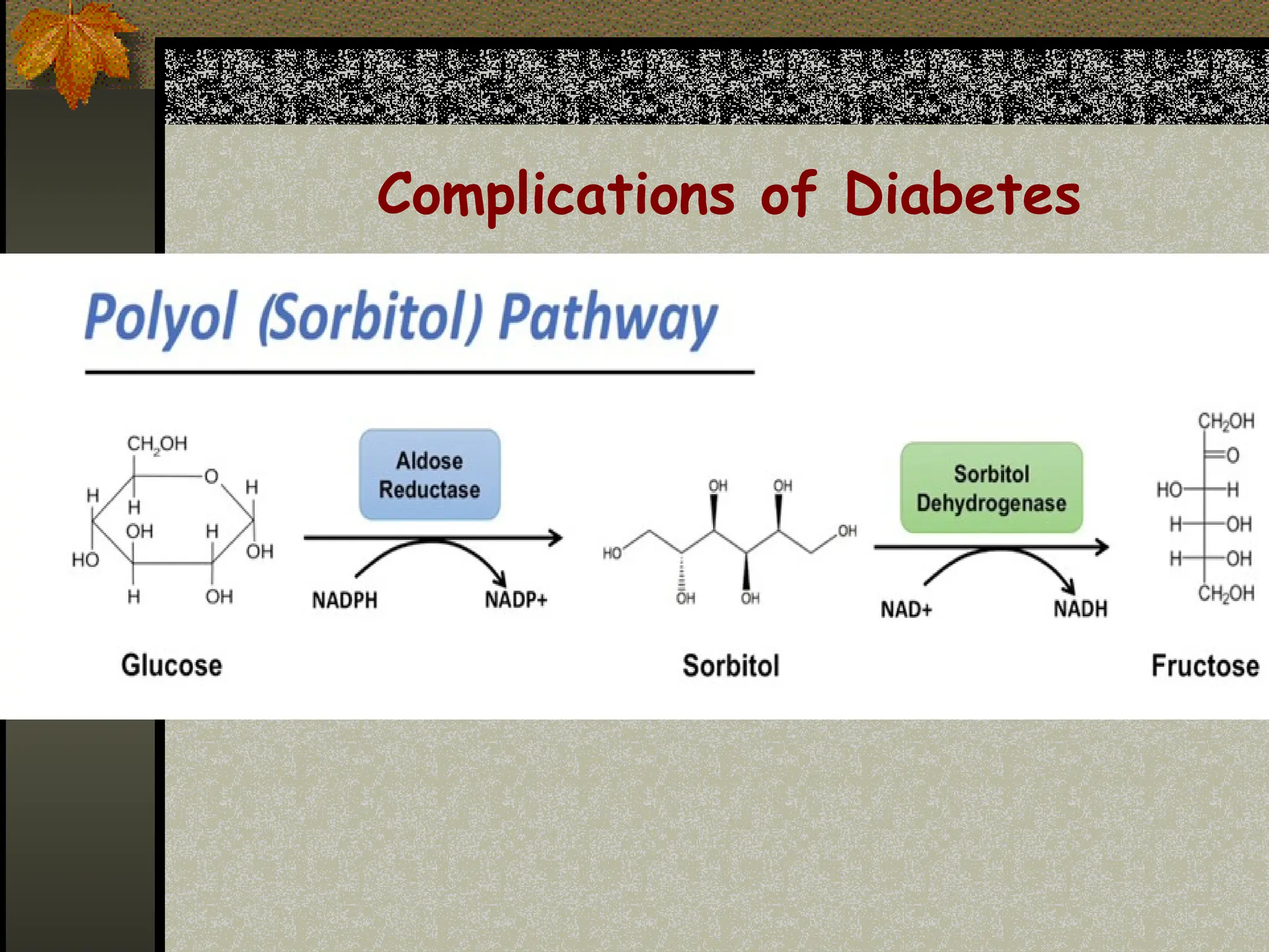 Blood Glu Regulation& its role on health | PPT