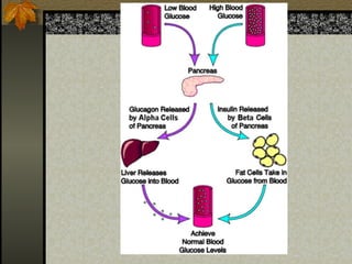Blood Glu Regulation& its role on health | PPT