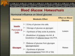 Blood Glu Regulation& its role on health | PPT