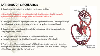 (biology)blood and circulation class-7 | PPTX