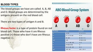 (biology)blood and circulation class-7 | PPTX