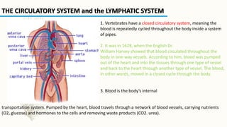 (biology)blood and circulation class-7 | PPTX