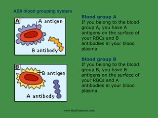 Blood group | PPT