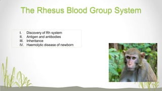 Blood group | PPTX