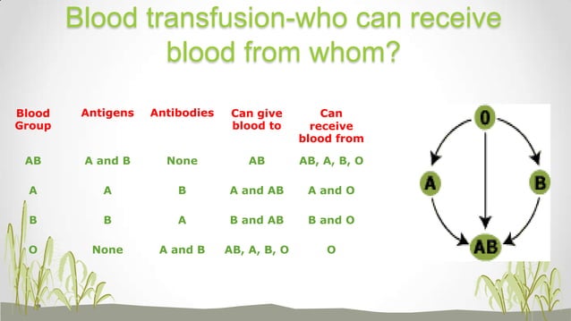 Blood group | PPTX | Blood Disorders | Diseases and Conditions