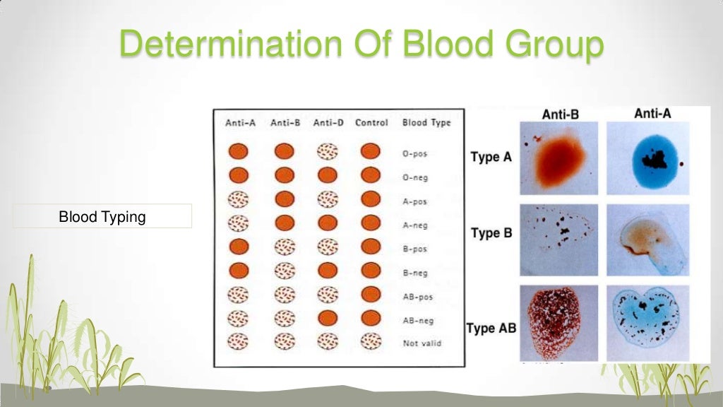 Blood group