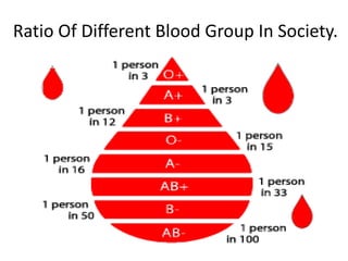 Blood groups | PDF