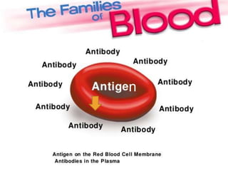 Blood group | PPT