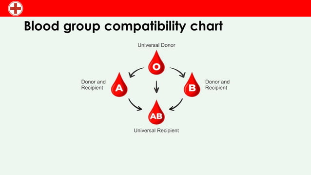 Blood group.pdf | Blood Disorders | Diseases and Conditions