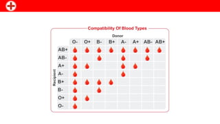 Blood group.pdf | Blood Disorders | Diseases and Conditions