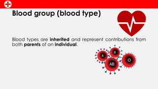 Blood group.pdf | Blood Disorders | Diseases and Conditions