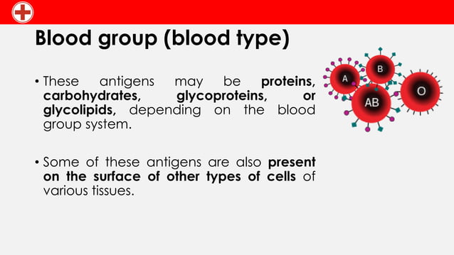 Blood group.pdf | Blood Disorders | Diseases and Conditions