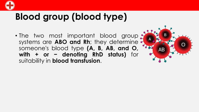 Blood group.pdf | Blood Disorders | Diseases and Conditions