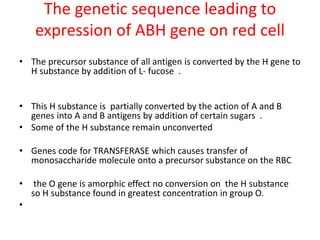 Blood groups and type and immunohematology . PPtx | PPTX | Blood ...