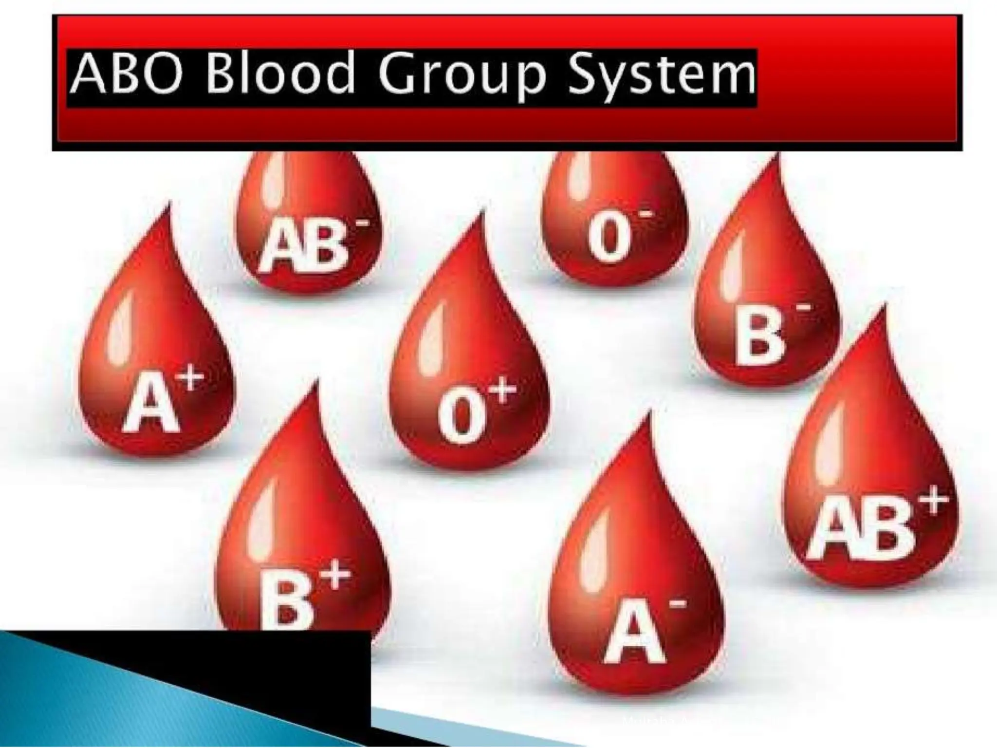Blood group.pptx Blood grouping and Blood group system | PPTX