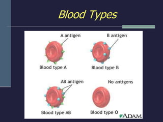 Blood Groups and abo grouping and RH system | PPT