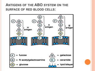 Blood group 1 | PPTX