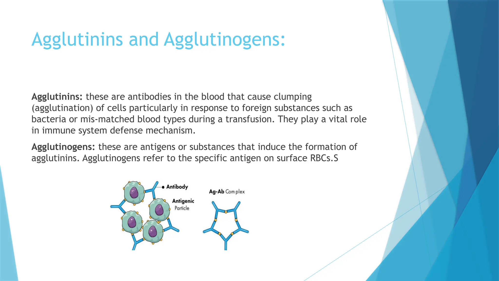 Blood Group (2).pptx education sciencejhbdmbcmn | PPTX
