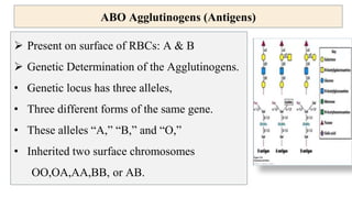 Blood group and typing 2021 | PPTX