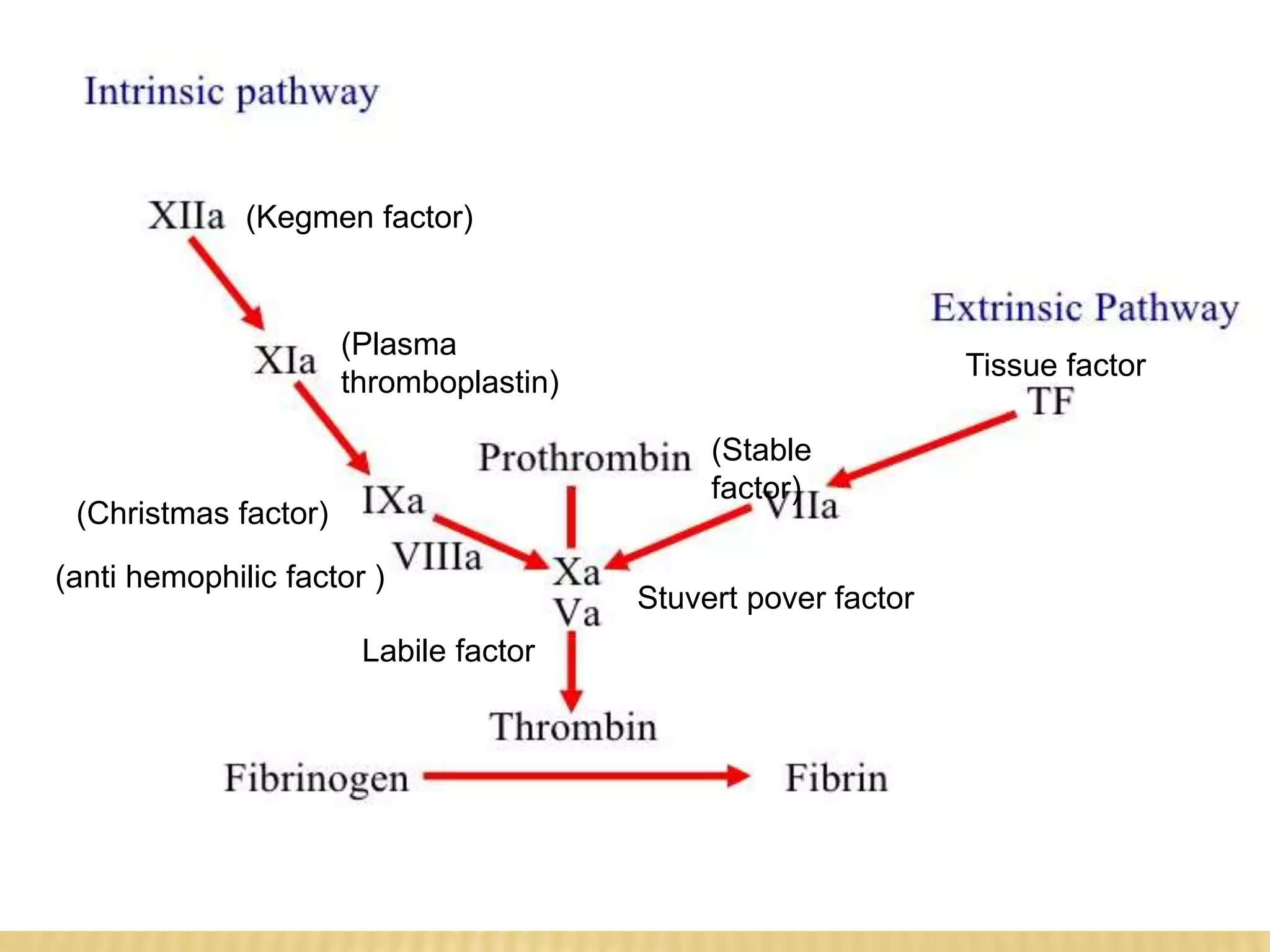 Blood group & blood coagulation | PPTX