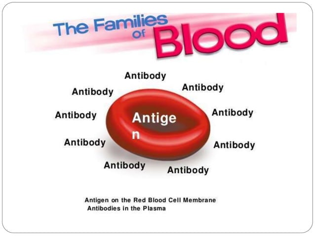 Blood group determination | PPTX