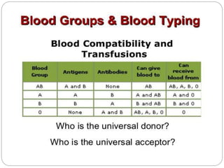 Blood group determination | PPTX