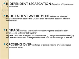 Basics Of Blood group genetics | PPT