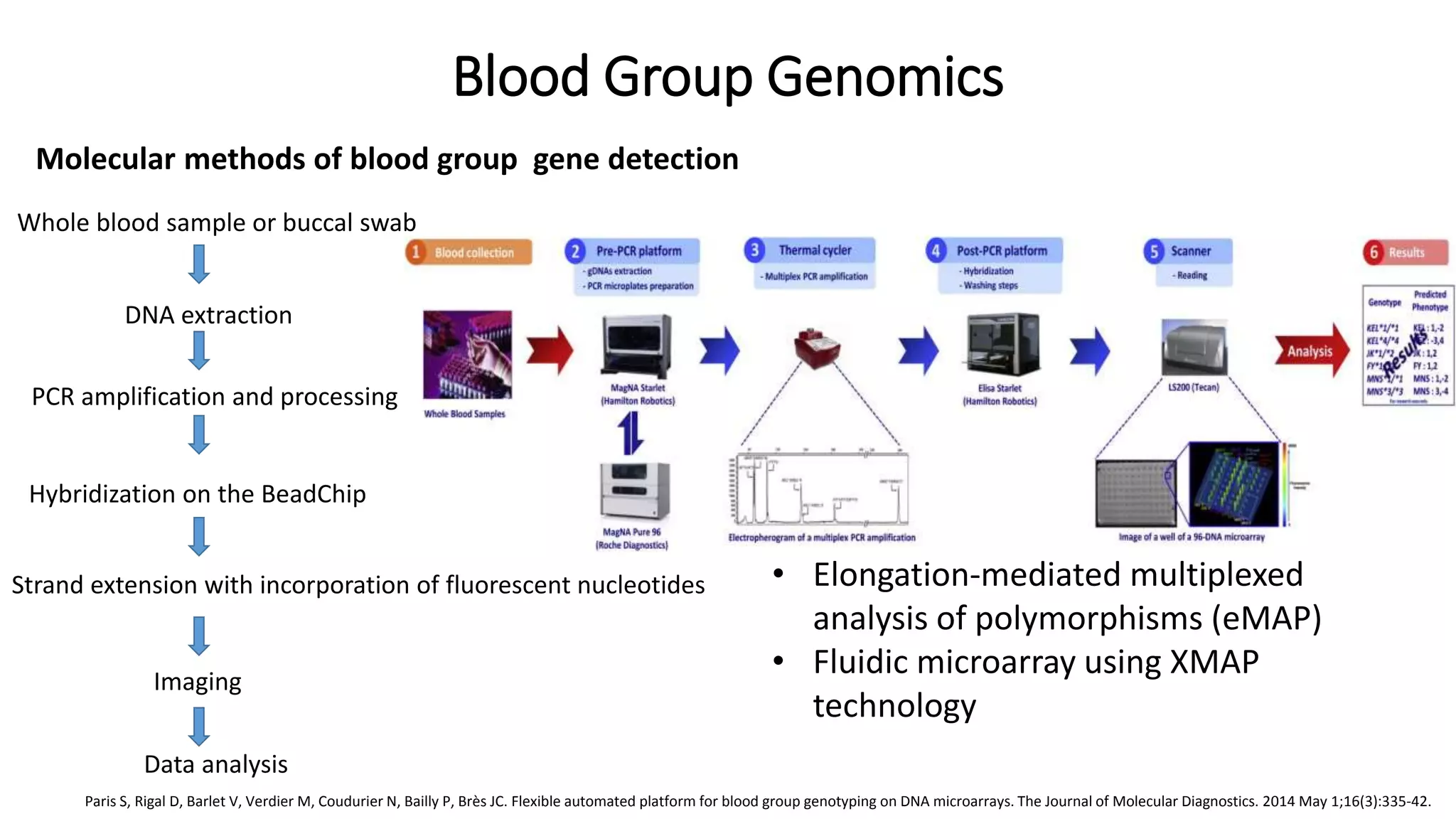 Blood group genetics | PPTX