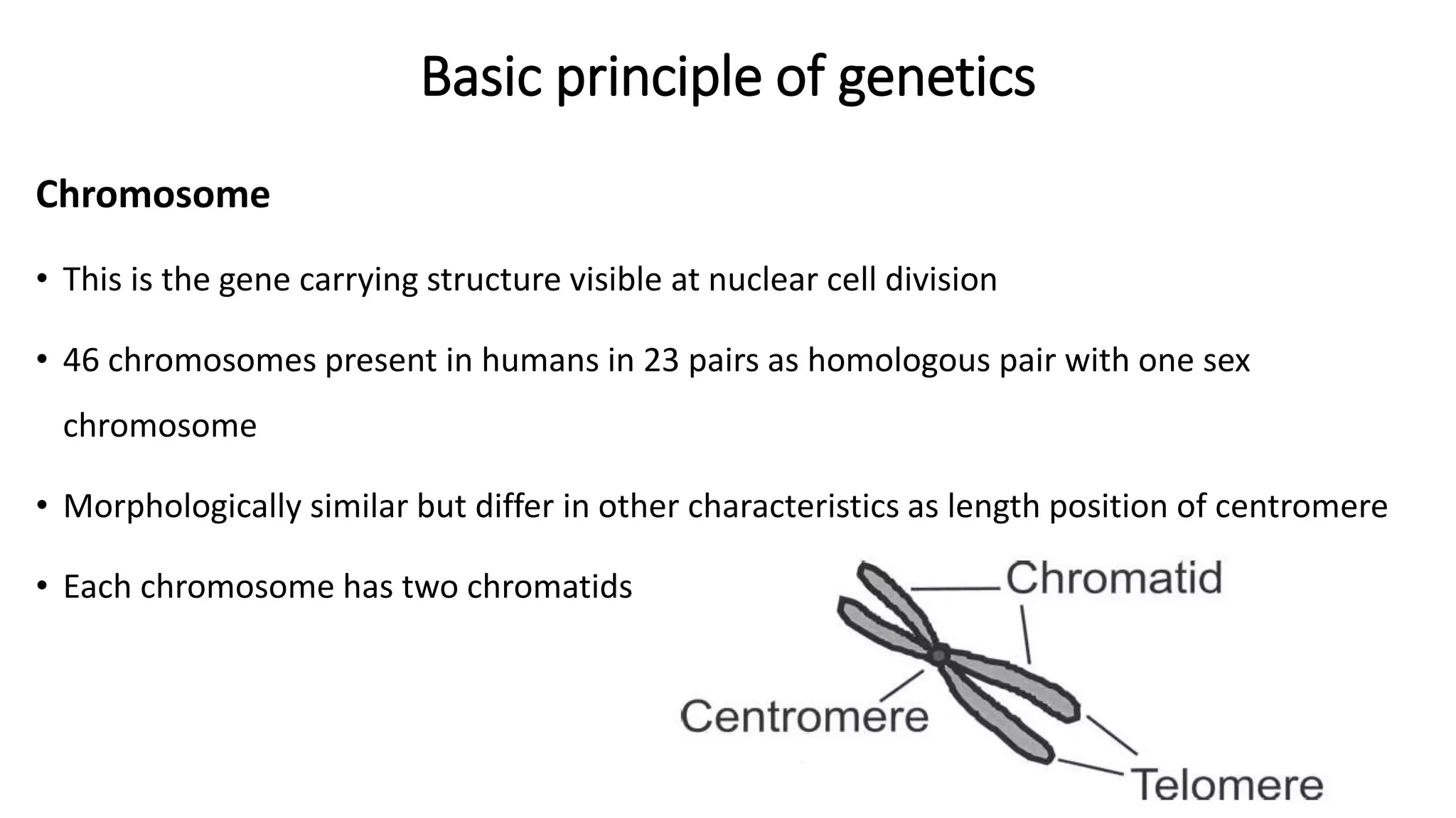 Blood group genetics | PPTX