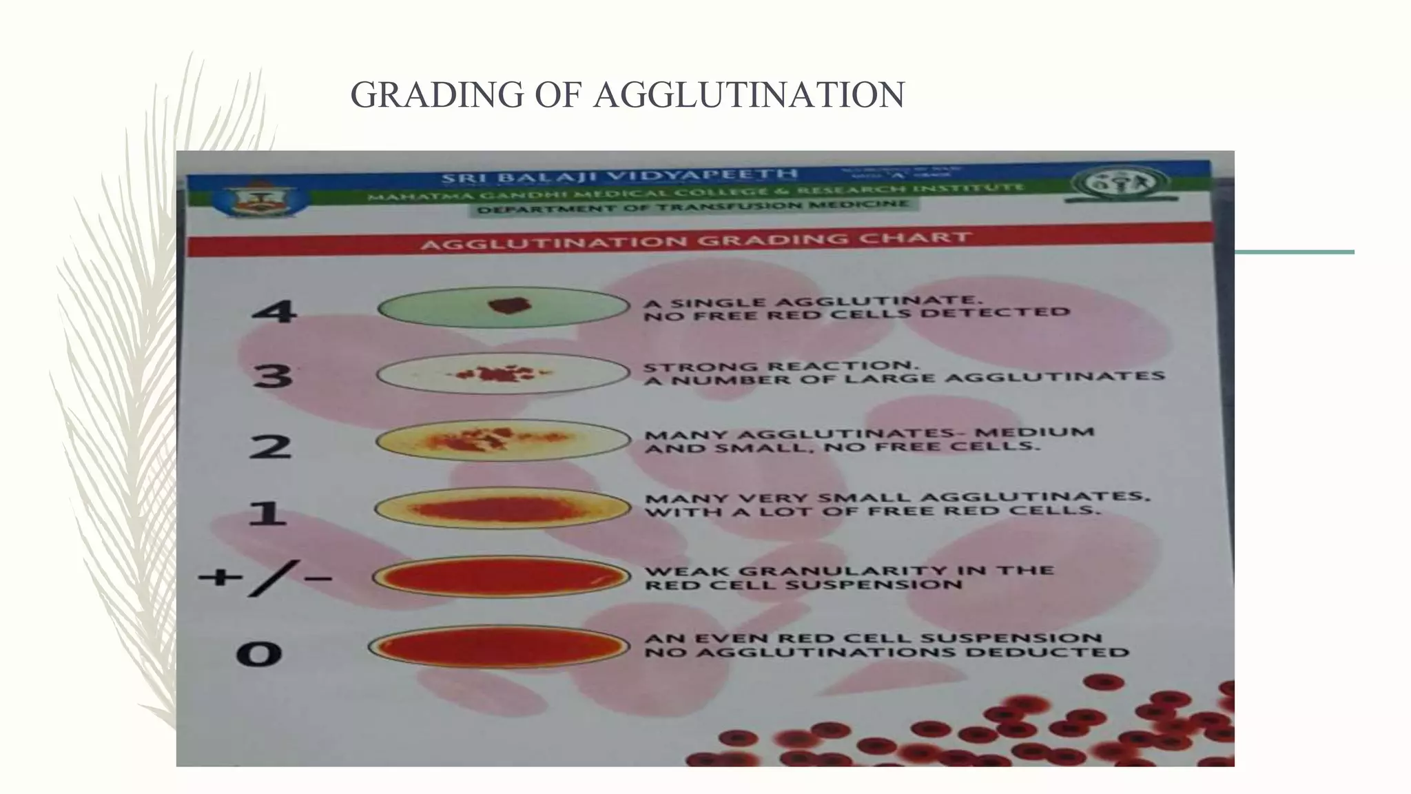 Blood grouping | PPTX