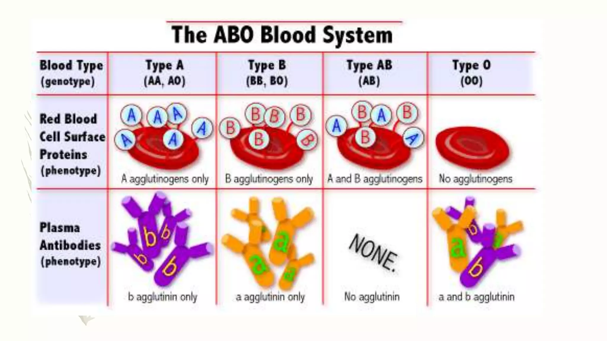 Blood grouping | PPTX