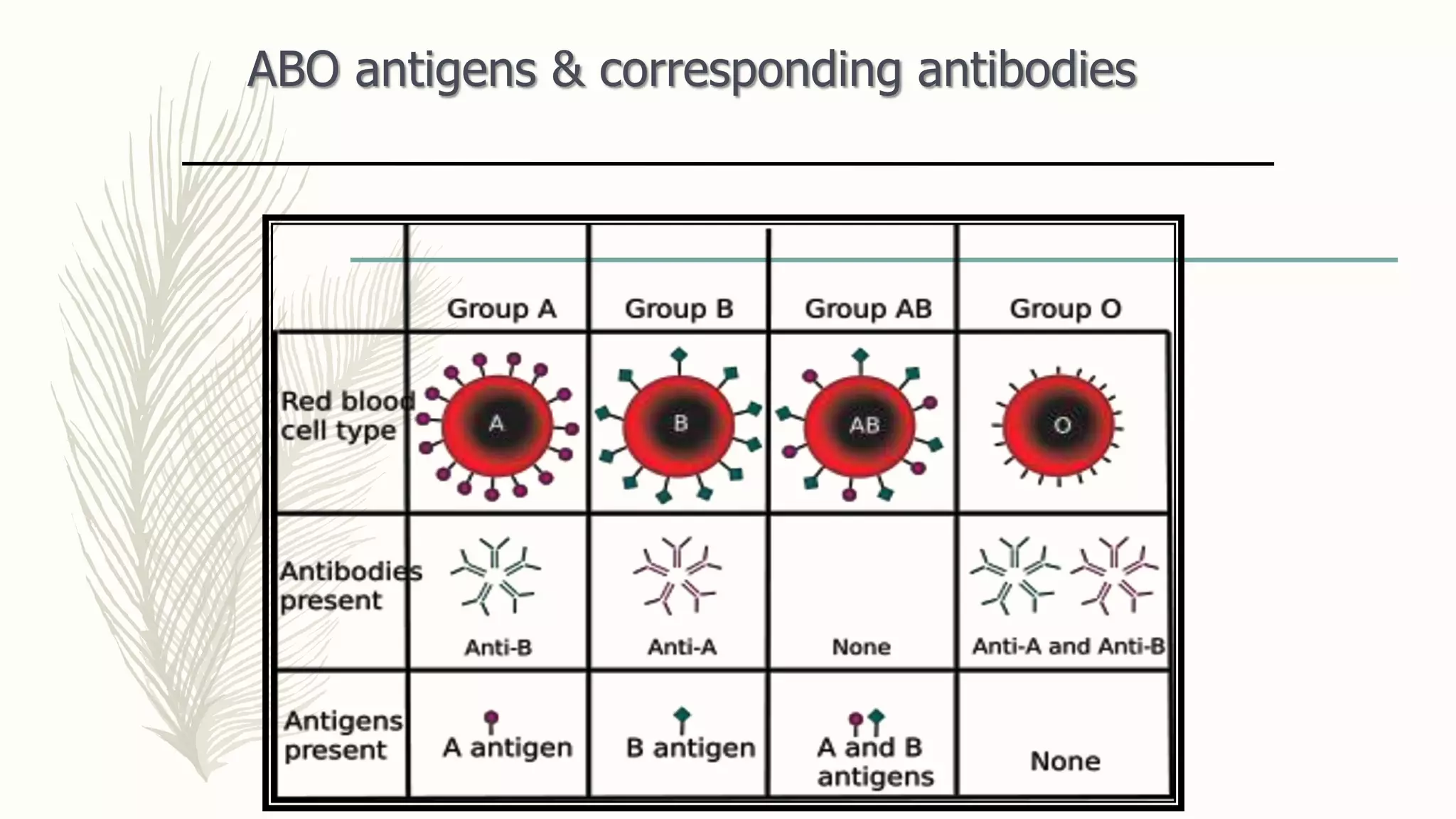 Blood grouping | PPTX