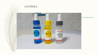 Blood grouping | PPTX