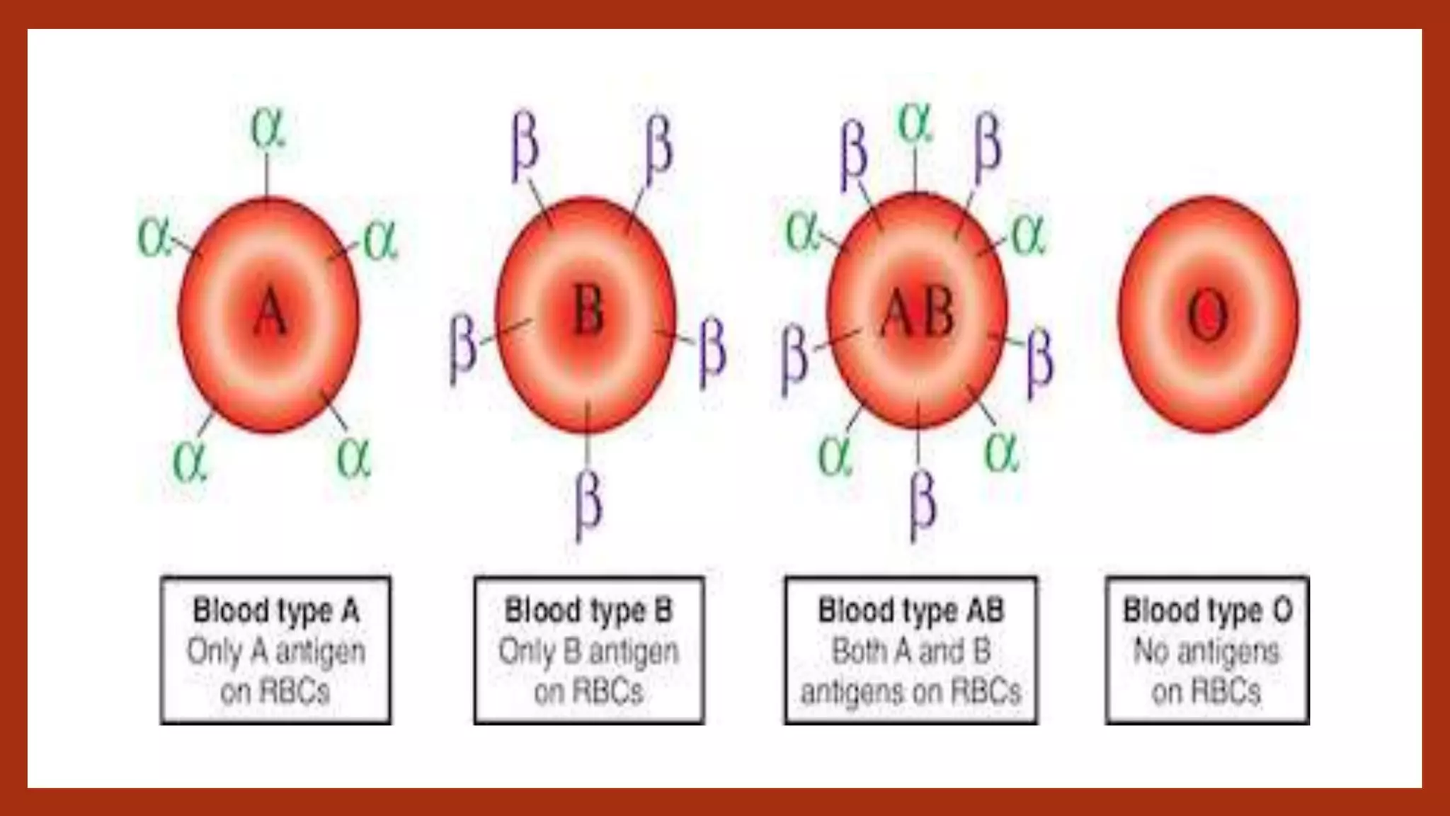 Blood Grouping.pptx