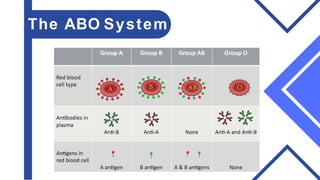 blood grouping.pptx