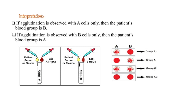 BLOOD GROUPING.pptx FOR DMLT BLOOD BANKING & HEMATOLOGY | PPTX
