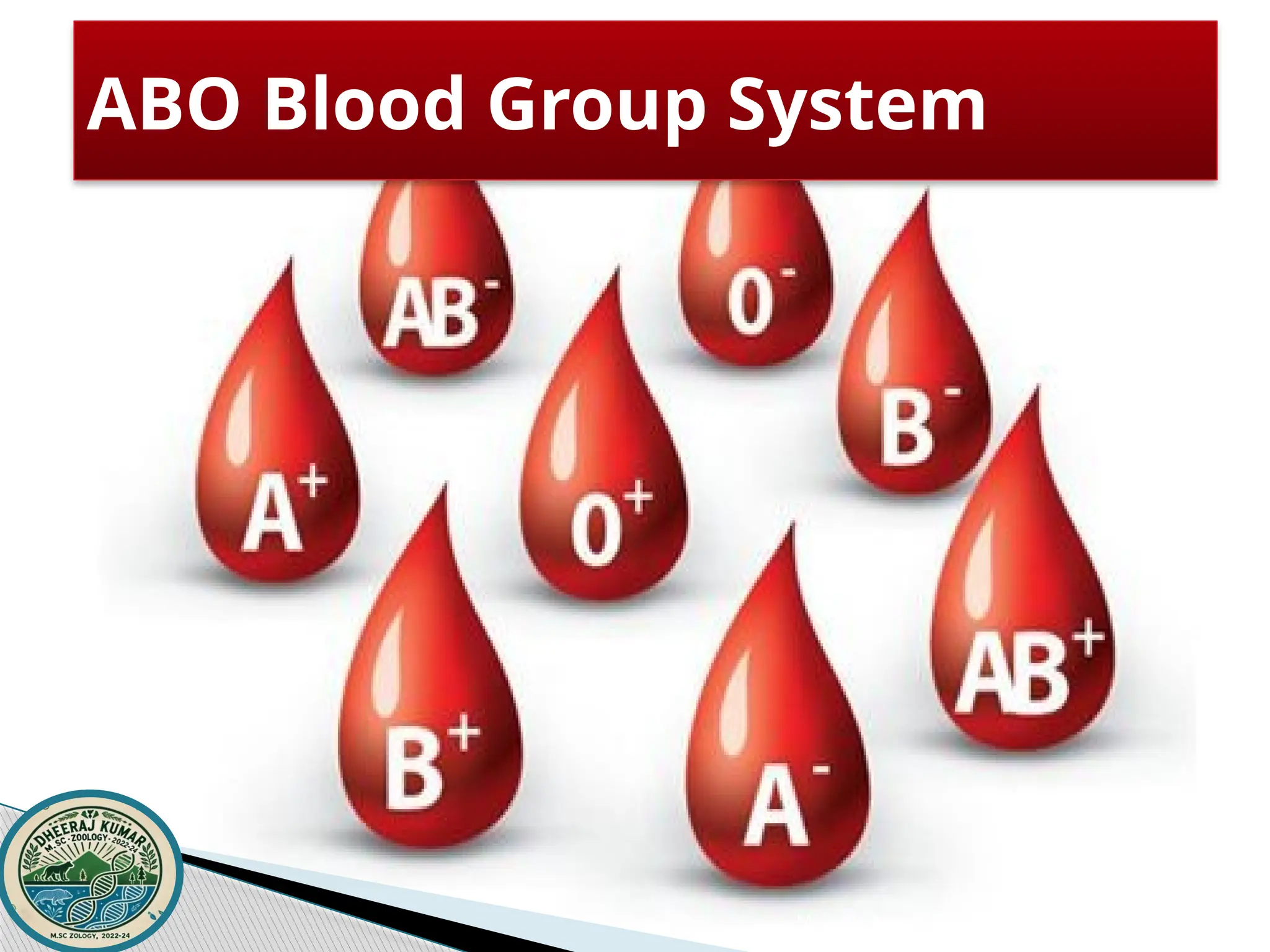 BLOOD GROUPING.ppt