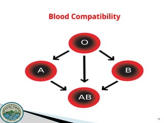 BLOOD GROUPING.ppt