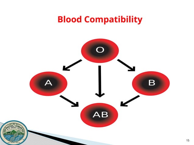 BLOOD GROUPING.ppt