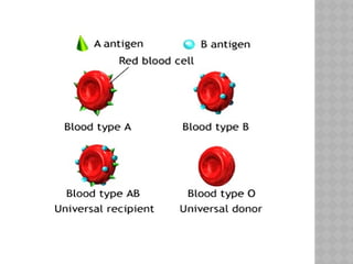 Blood grouping.pptx . . . . . . . . | PPTX