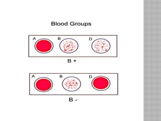 Blood grouping.pptx . . . . . . . . | PPTX