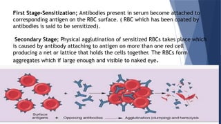 BLOOD GROUPING IN IMMUNOHEAMATOLOGY.pptx