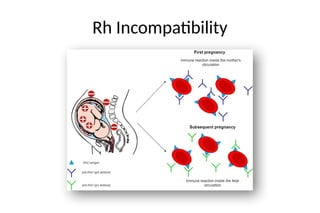 Blood grouping and cross matching practi | PPTX