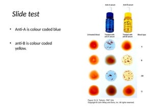 Blood grouping and cross matching practi | PPTX