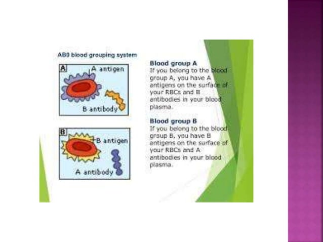 Blood grouping and crosss matching | PPTX | Blood Disorders | Diseases ...