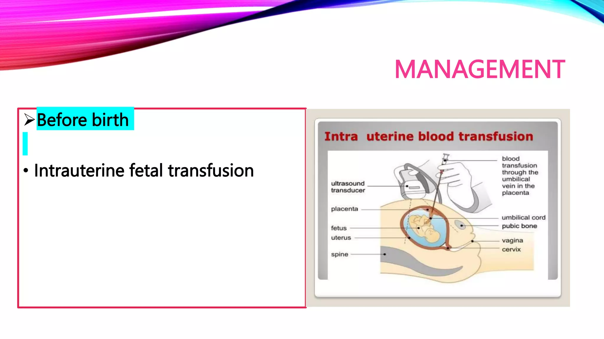 Blood grouping and transfusion reactions.pptx