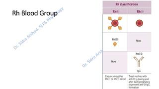 Blood Grouping and Transfusion Reactions.pdf