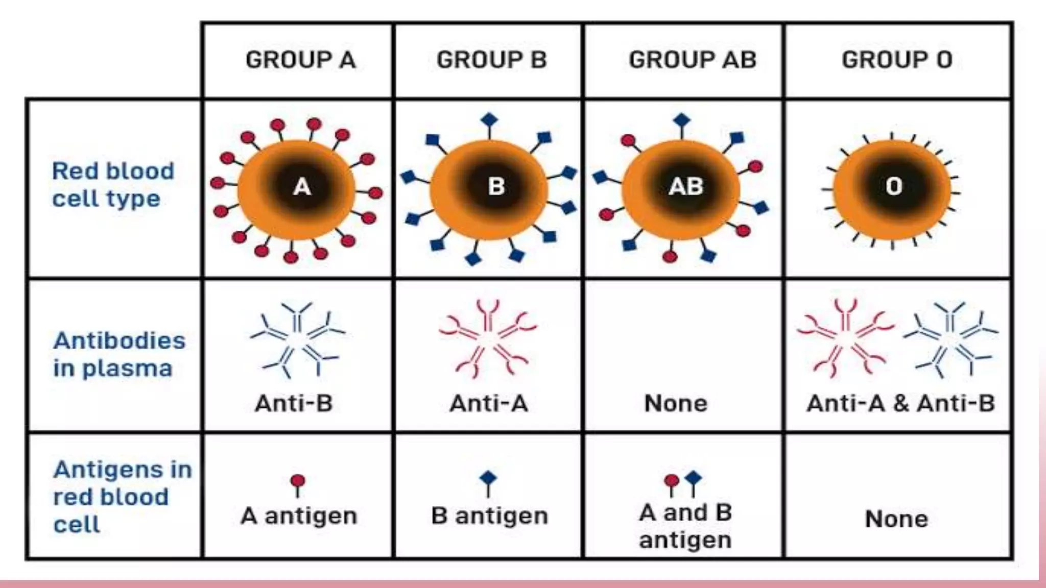 Demonstration of Blood grouping | PPTX