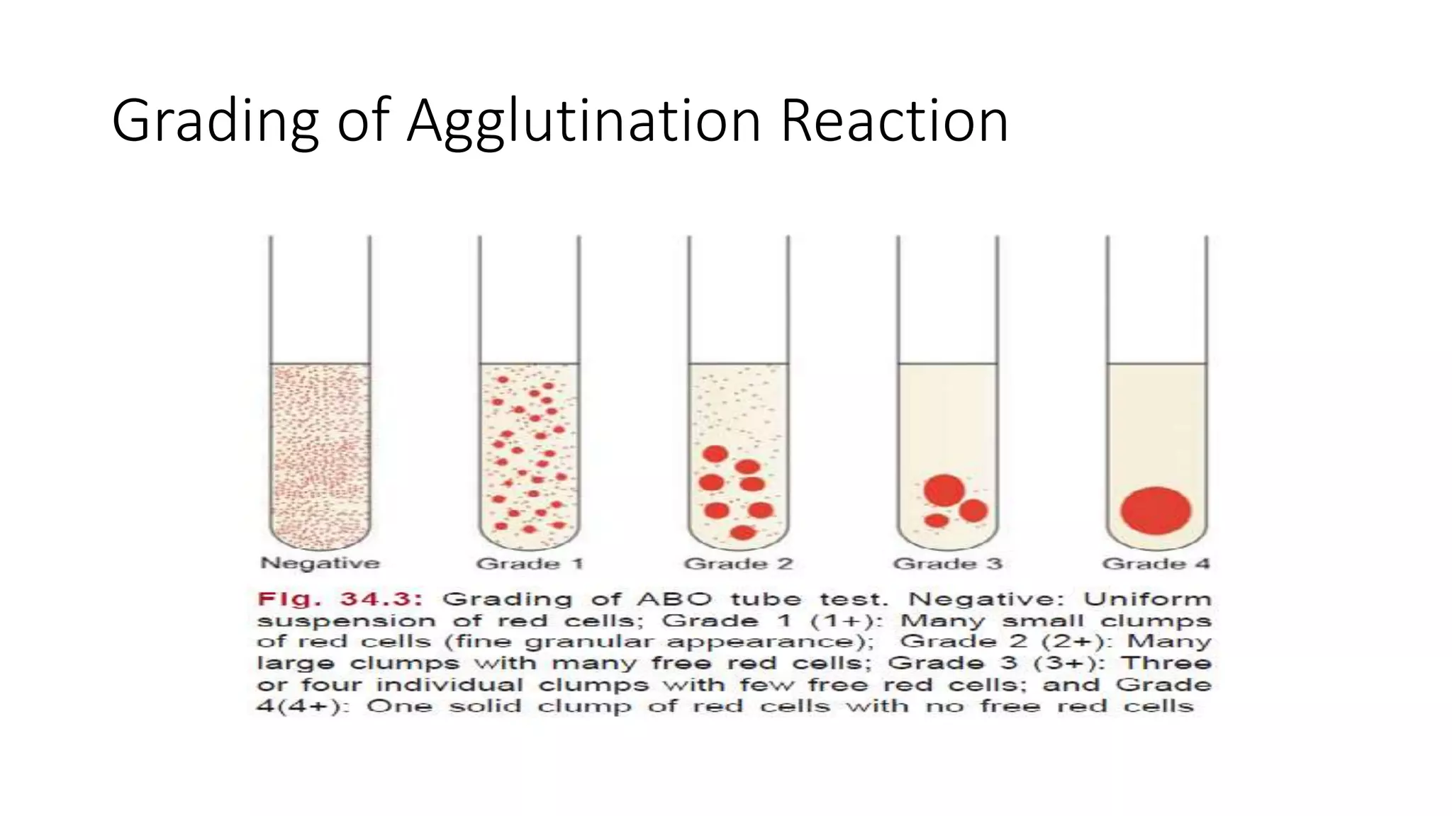 Blood grouping and Cross matching | PPTX